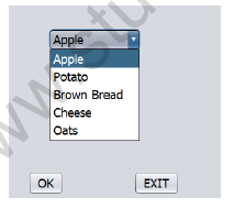 CBSE Class 11 Informatics Practices Java Programming List Box Worksheet